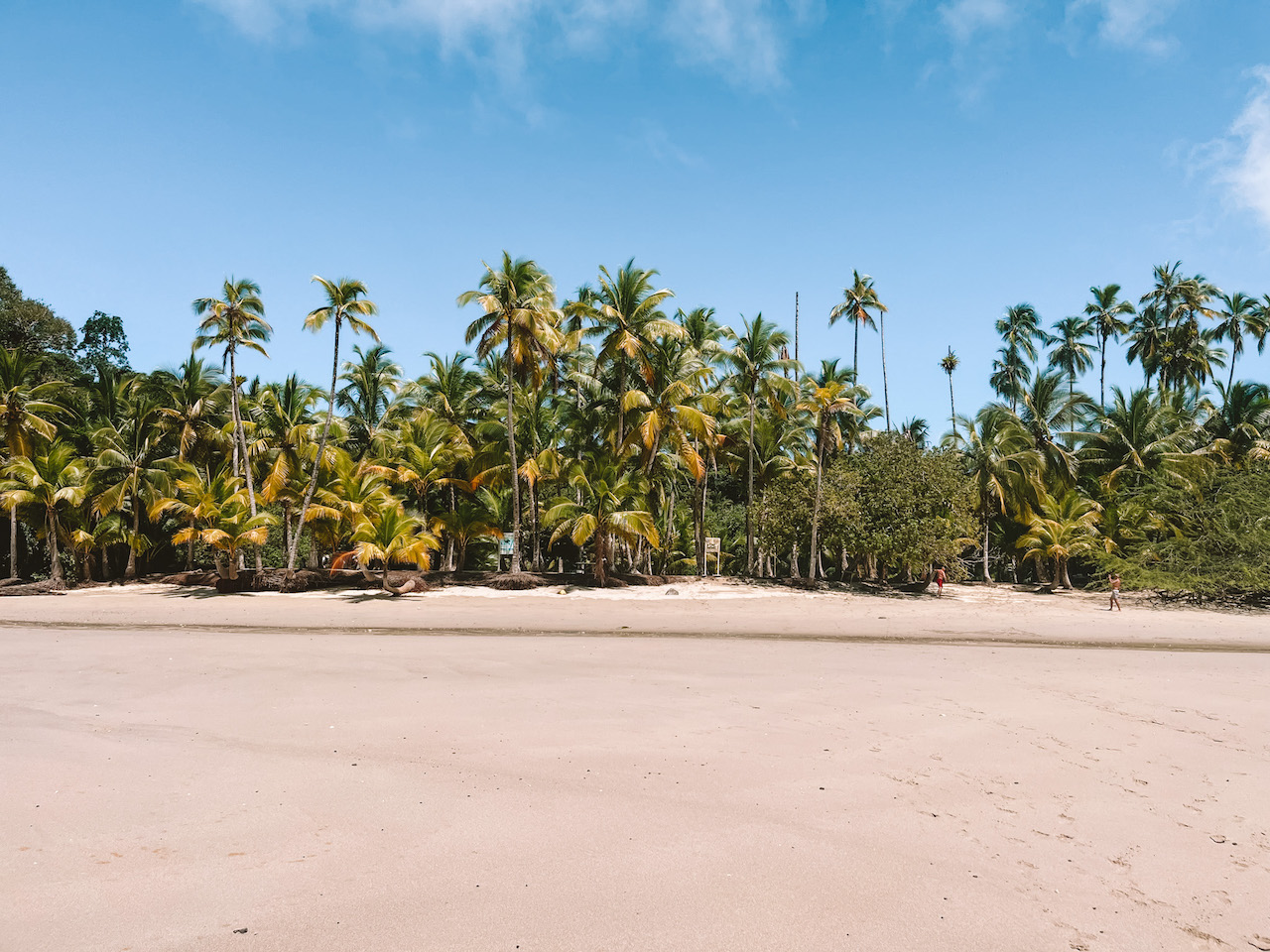Strand-Isla-Coiba - Base and Travel